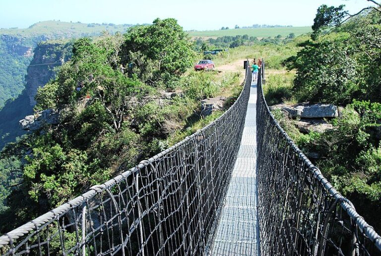 Bungee Jumping South Africa: Experience the Ultimate Adrenaline Rush ...